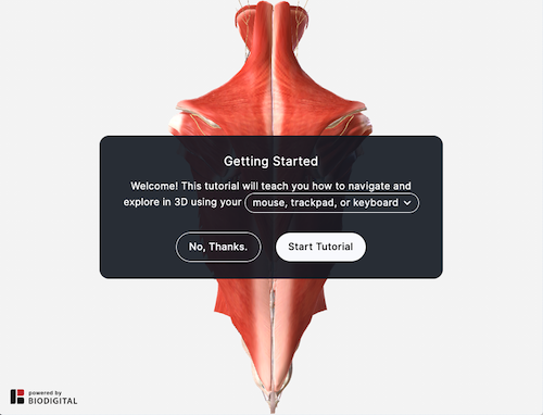 3D embed publishing settings – Human Support