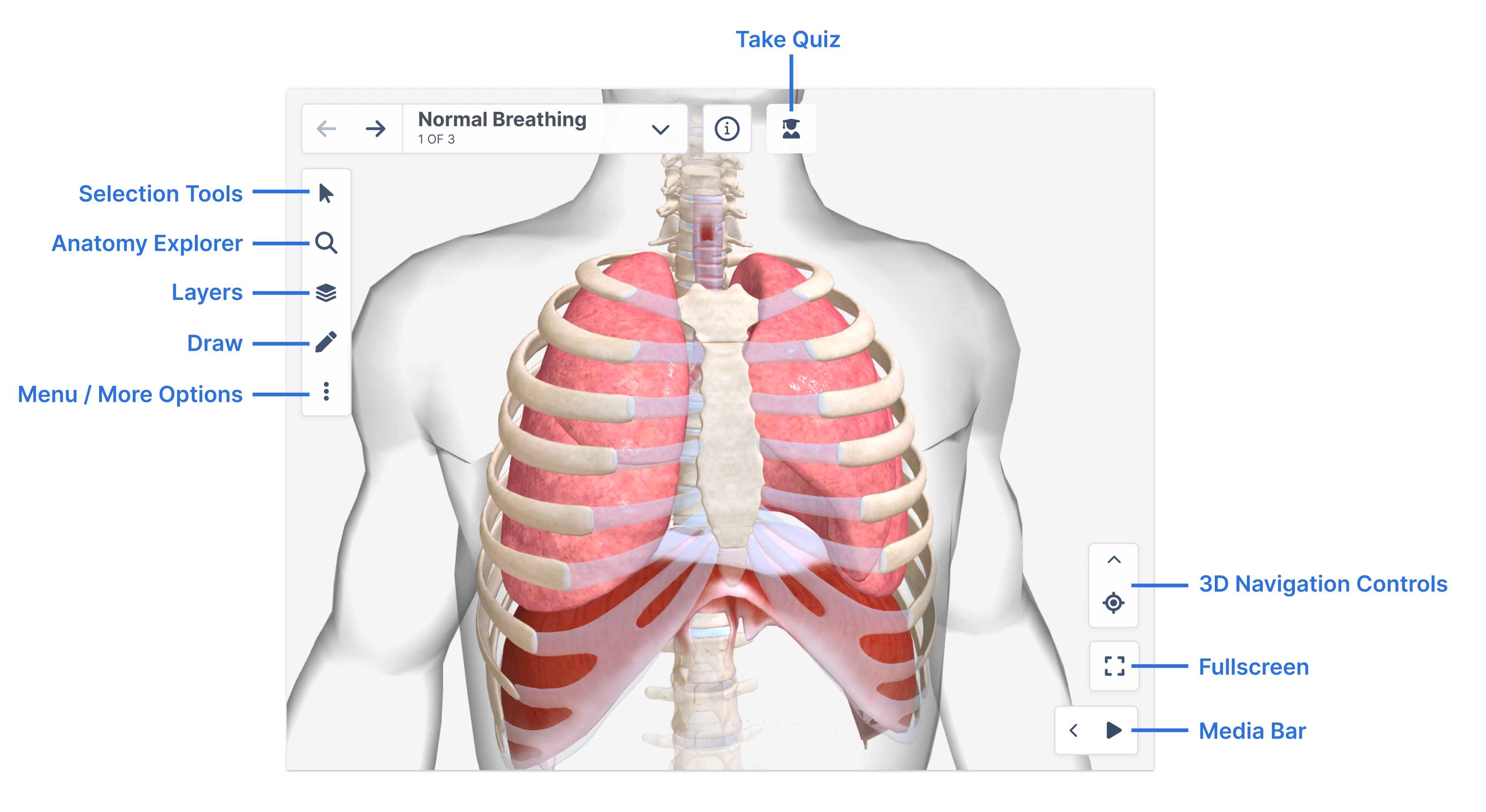 May 2023: The new and improved Human Viewer – Human Support