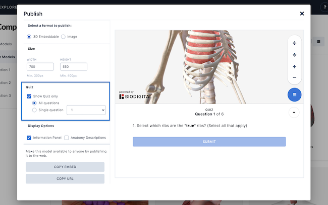 May 2021: Introducing the 3D Quiz Builder – Human Support