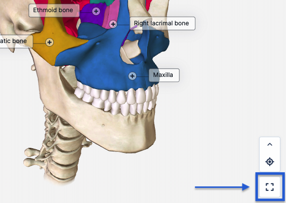 3D embed publishing settings – Human Support