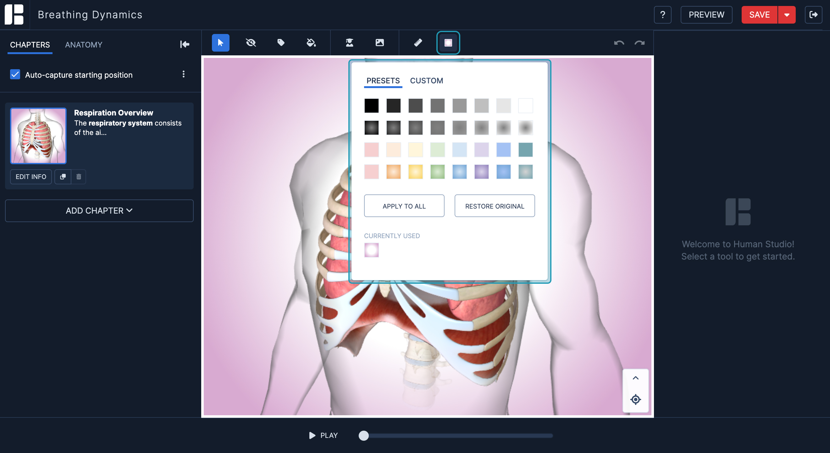 Change my model's background color – Human Support
