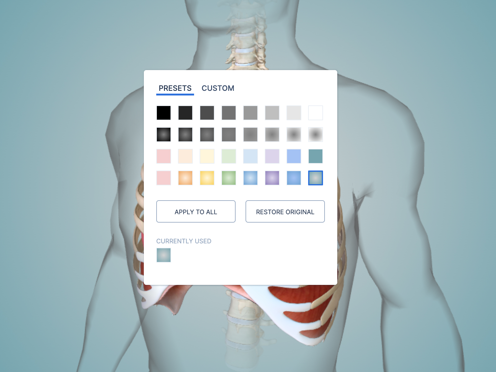 Change my model's background color – Human Support