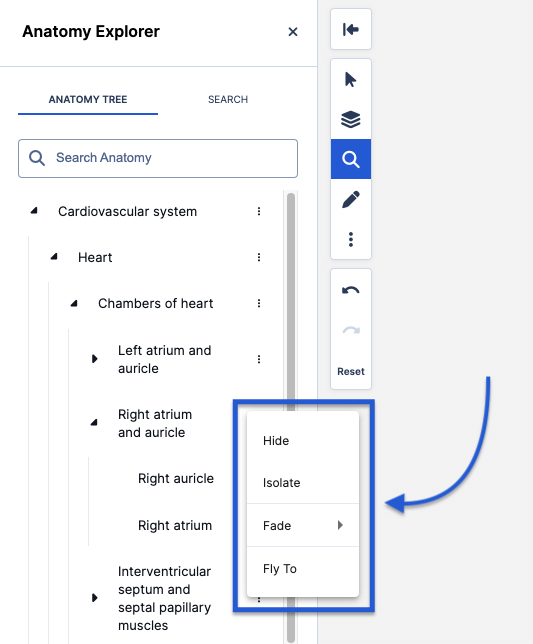 Best practices for using 3D models in presentations – Human Support