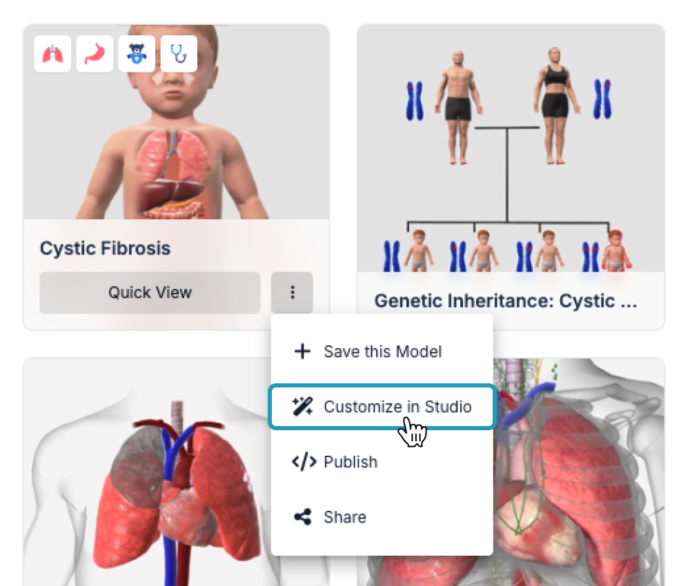 Customize 3D models in Human Studio – Human Support