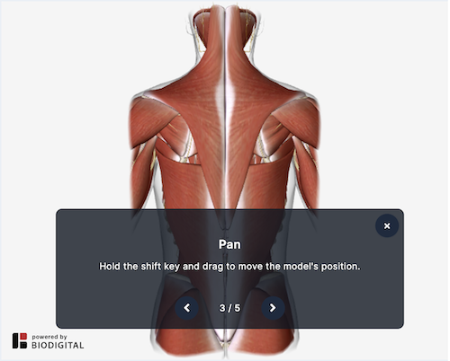 April 2020: Learn to interact in 3D with our new Viewer tutorial ...