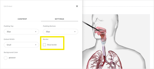 Embed a 3D model into Articulate Rise – Human Support